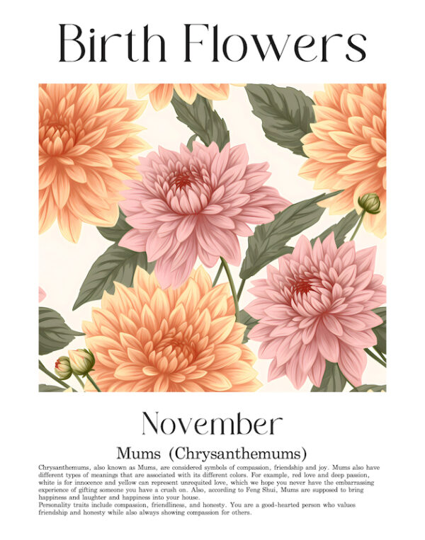 BIRTH FLOWER NOVEMBER - POSTER - KRUGERS POSTERS - THE MOST POPULAR ...